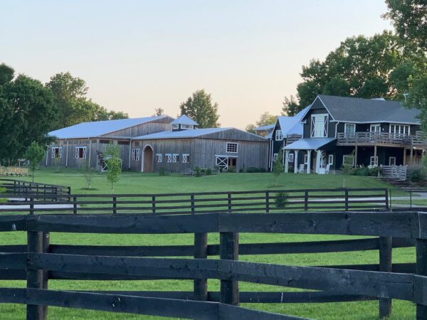 20 Training Tips – Pine Knoll Farm