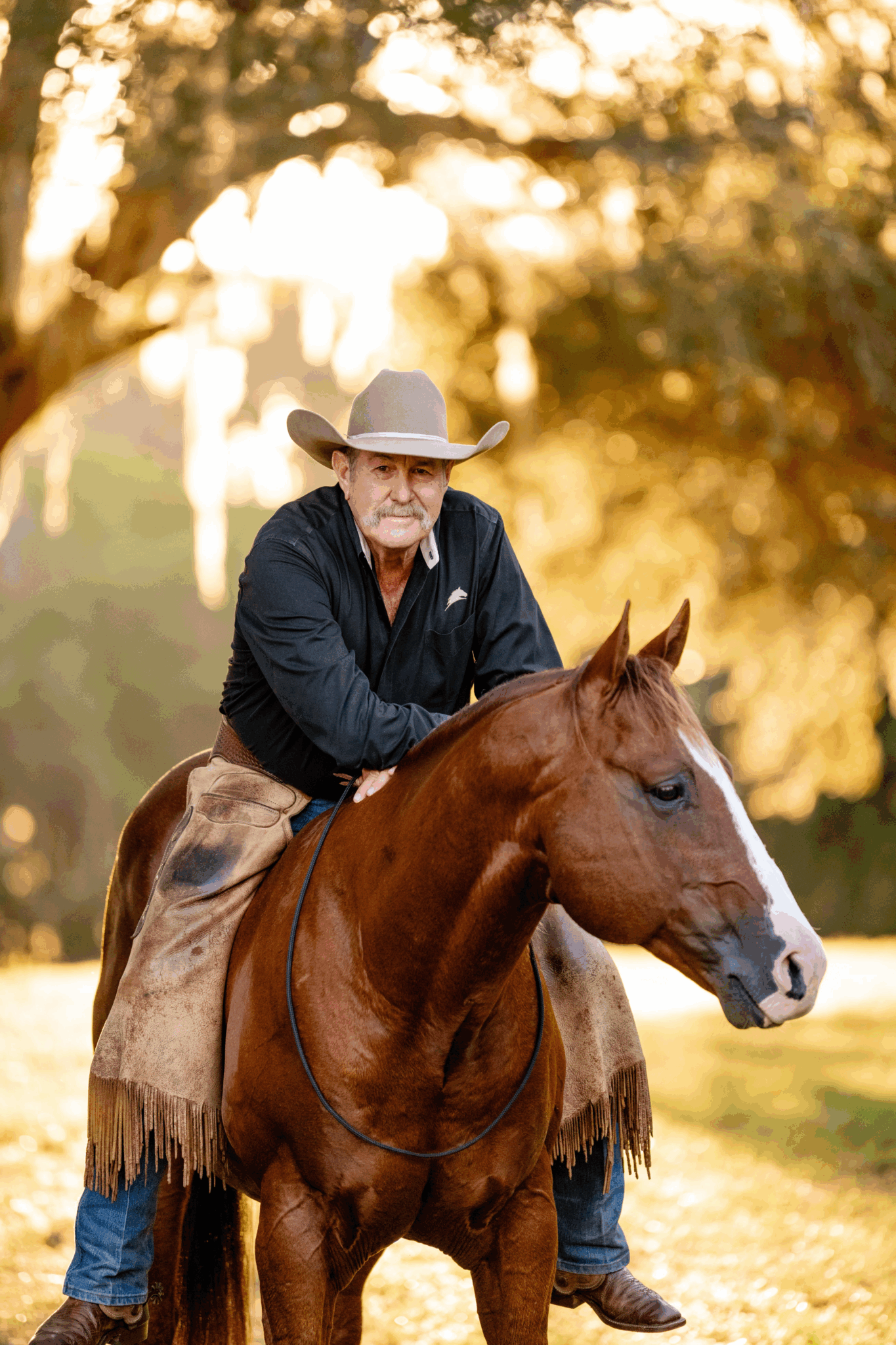 Learning with Pat Parelli at Pine Knoll Farm in September – Pine Knoll Farm