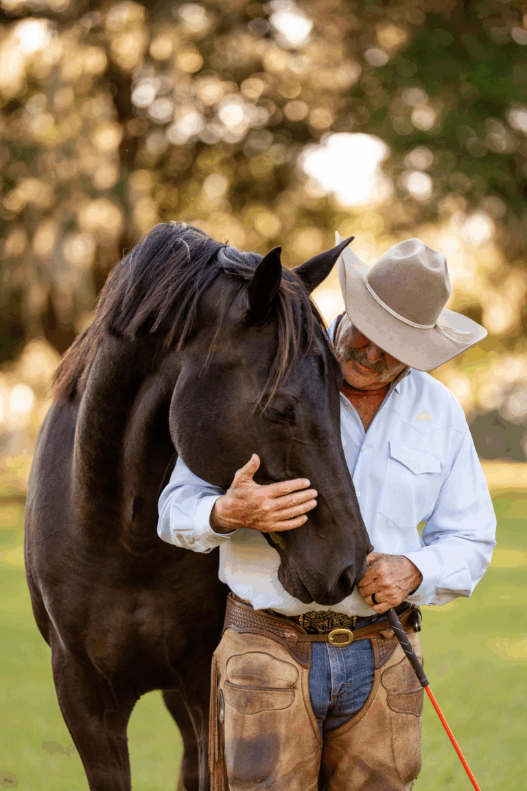 Harmonize, Connect, and Grow with Your Horse at this 3-Day Exclusive ...