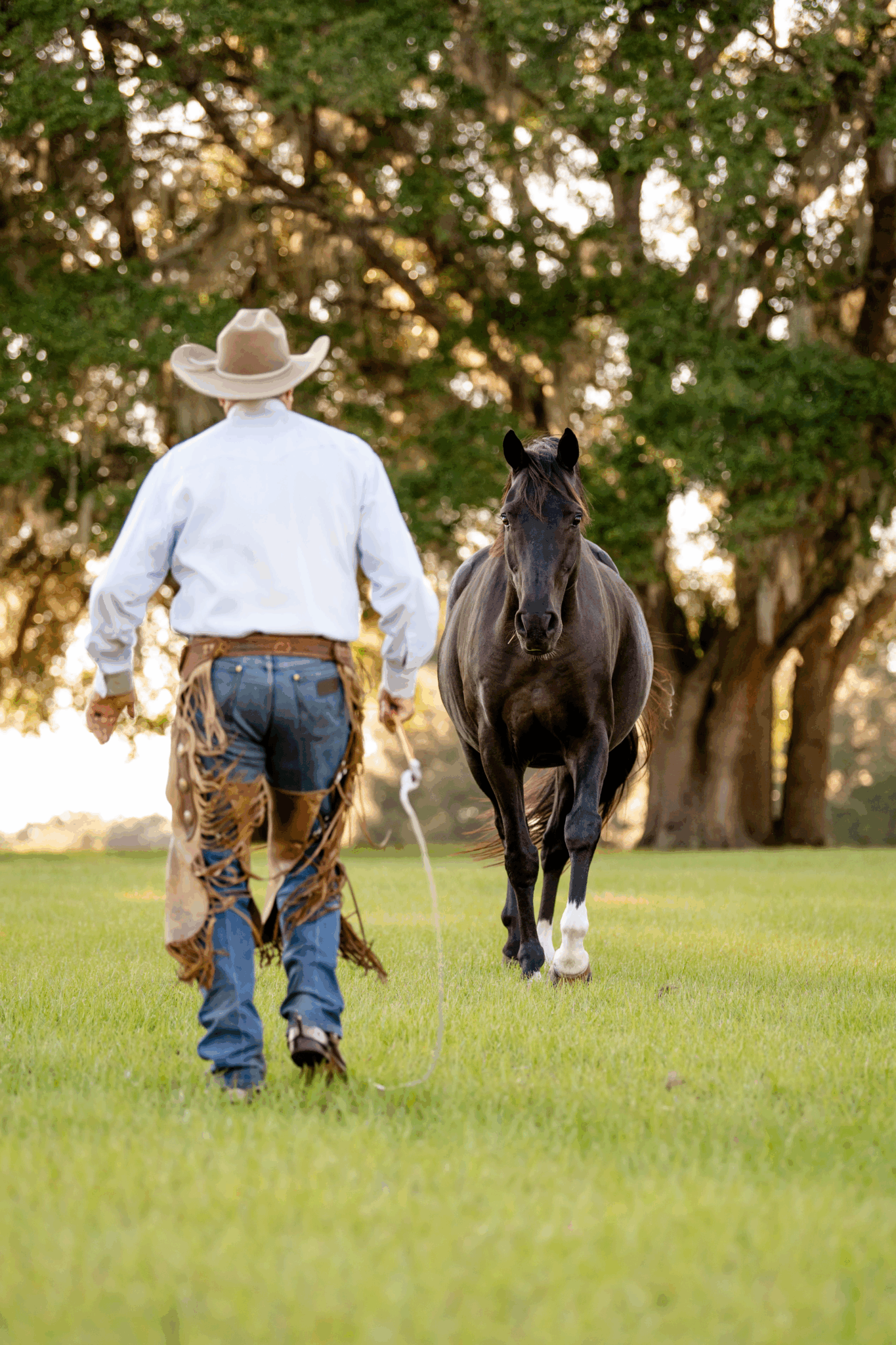 Harmonize, Connect, and Grow with Your Horse at this 3-Day Exclusive ...